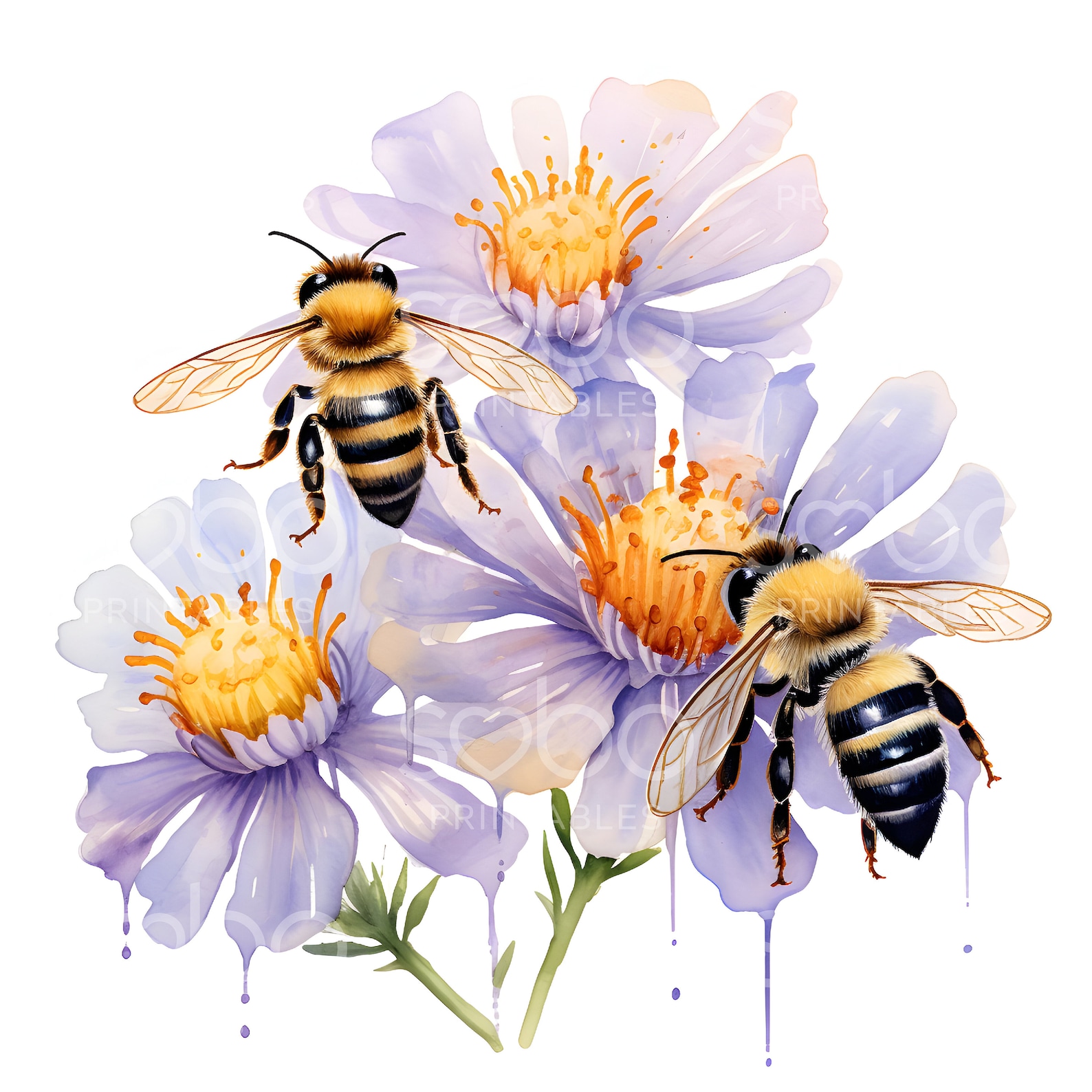 16 Bees in Flowers Clipart, Bees Clipart, Printable Watercolor Clipart ...