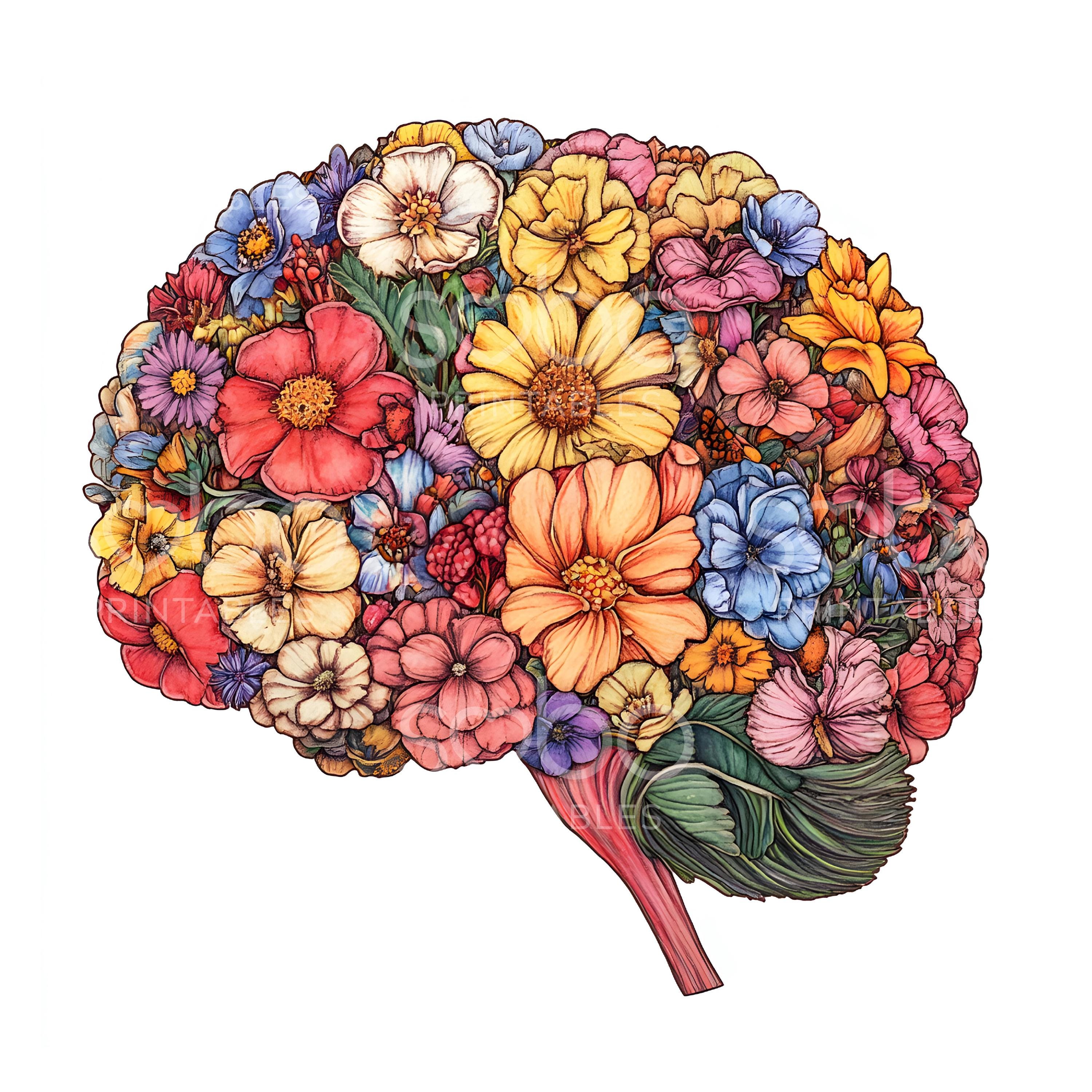 15 Floral Human Brain Clipart, Floral Anatomical Brain, High Quality ...