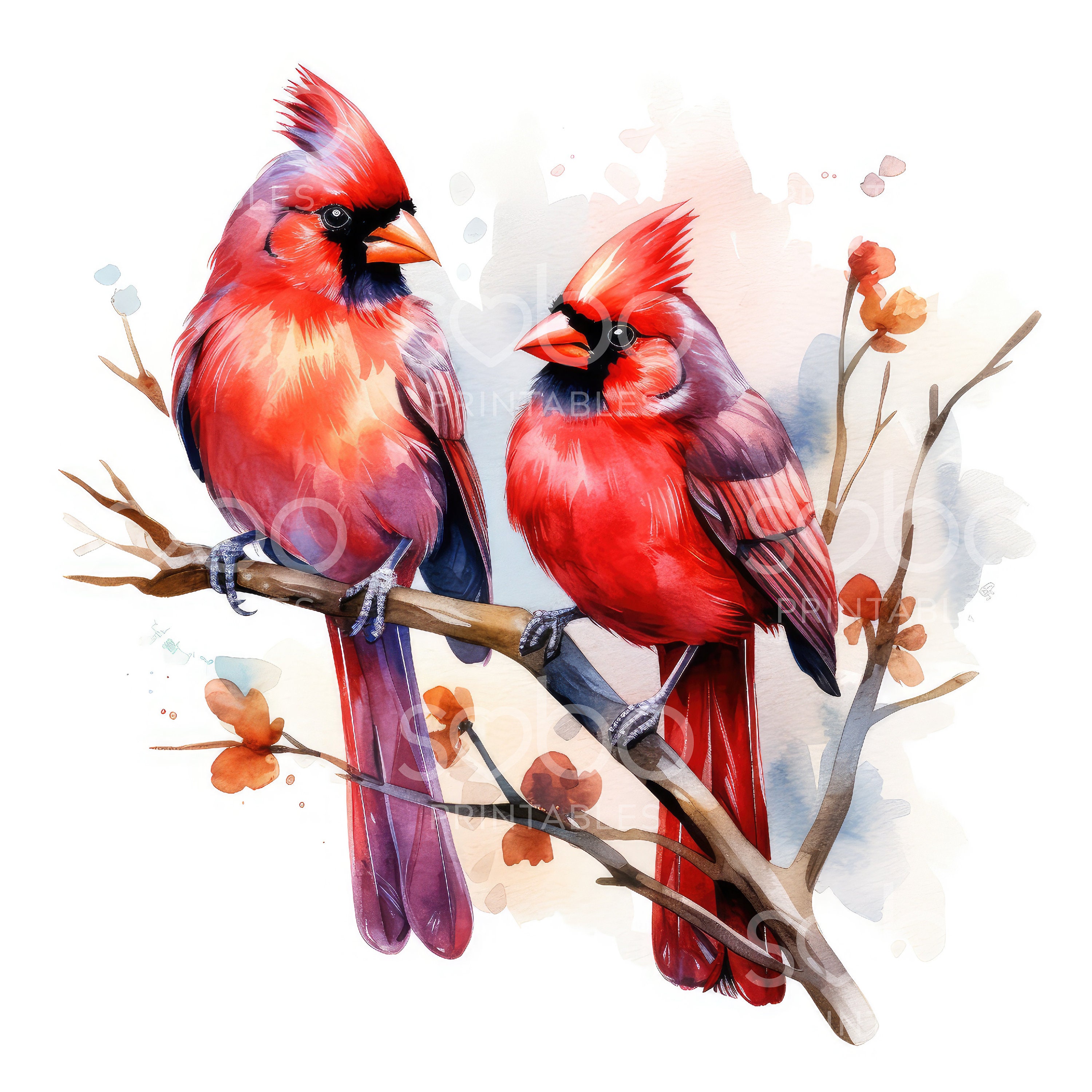 Red Cardinal Clipart 15 High Quality Jpgs, Digital Download, Junk ...