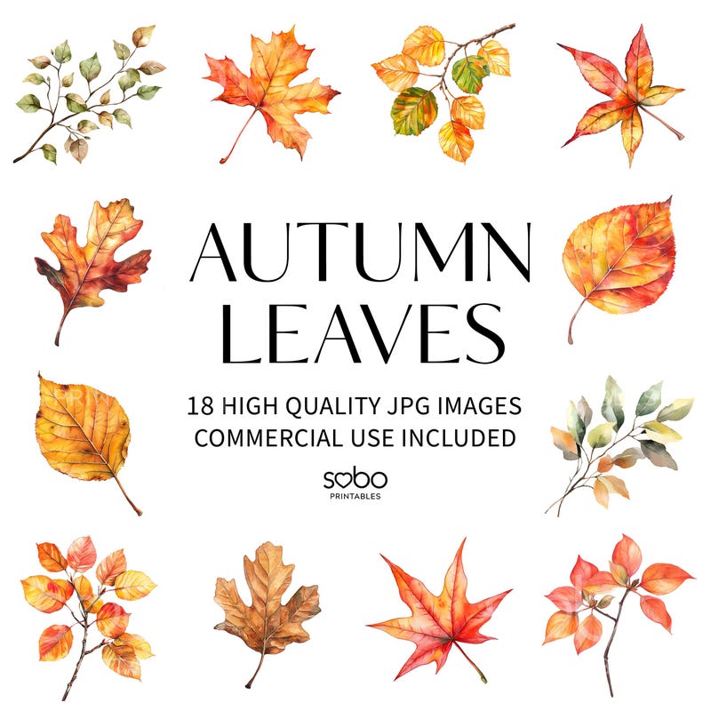 Fall Leaves Clipart - Etsy