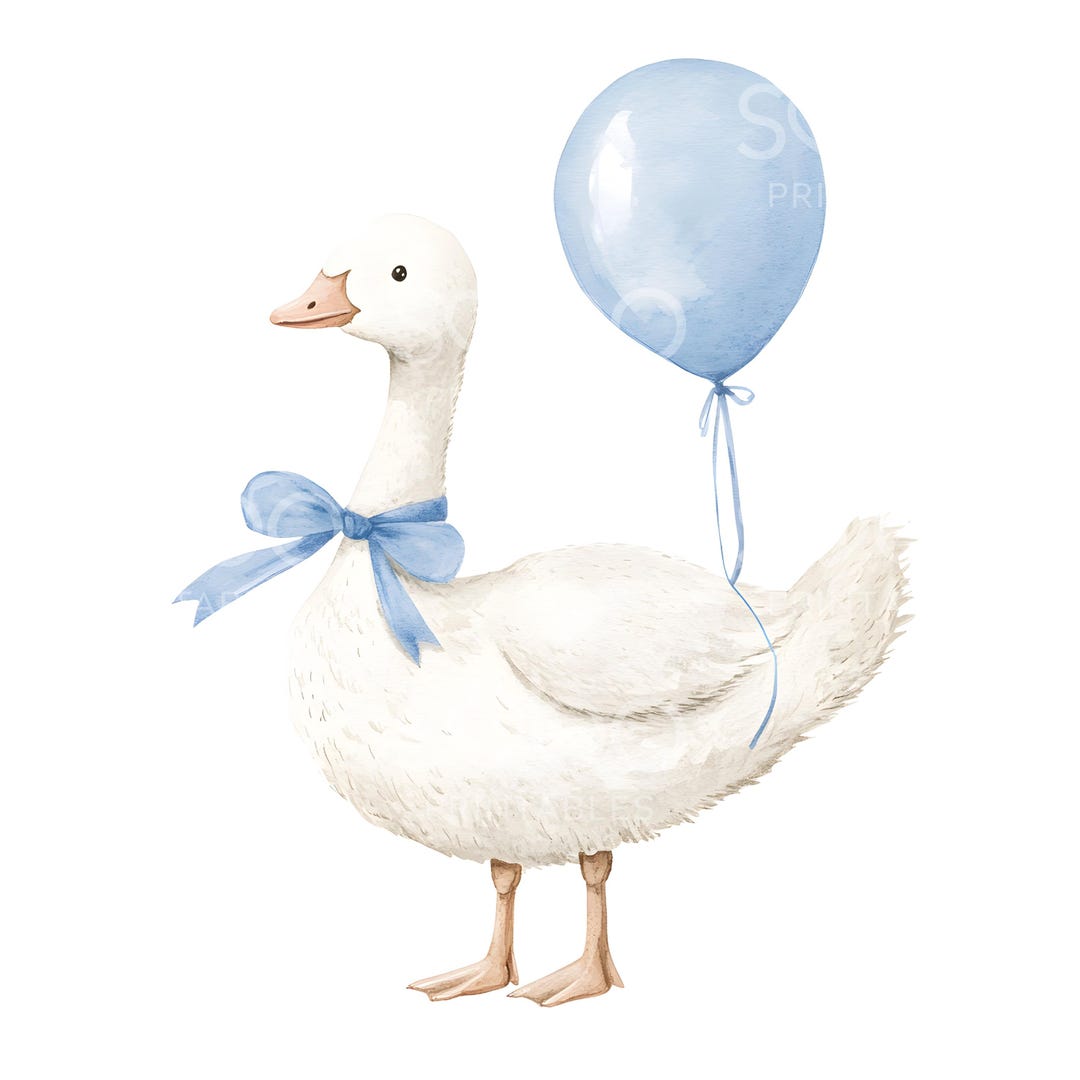 24 Silly Goose Balloon Clipart, 1st Birthday, Spring Vintage ...