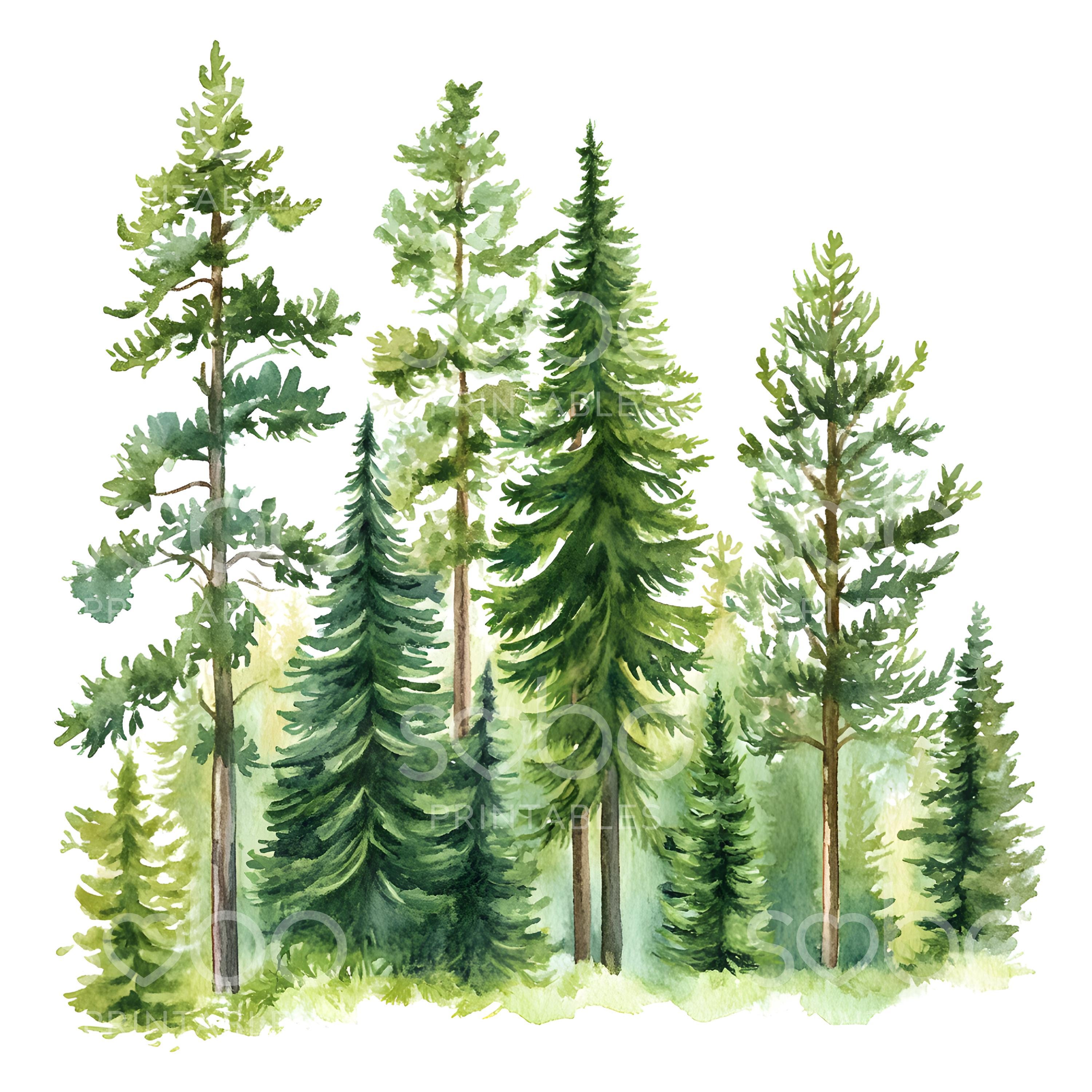 16 Pine Trees Clipart, Forest Clipart, Jungle Printable Watercolor ...