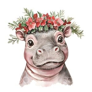 15 Pygmy Hippo Clipart, Cute Hippopotamus, Moo Deng Hippo, Bouncy Pygmy ...