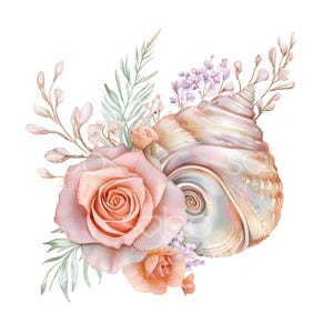 18 Floral Rose Sea Shell Clipart, Seashell Art, Printable Watercolor ...
