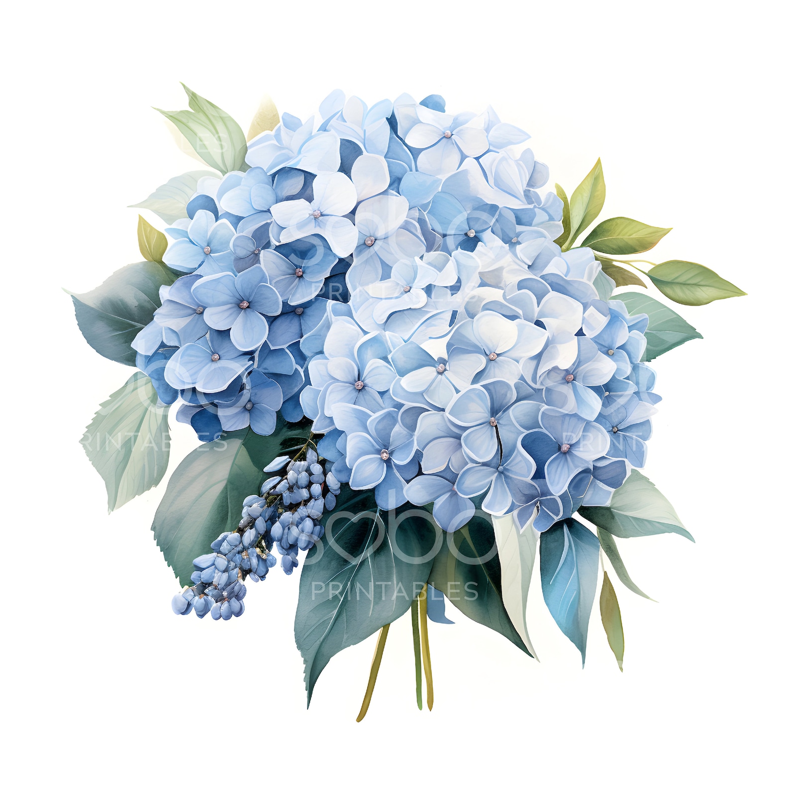 19 Hydrangea Bouquet Clipart, Blue Hortensia, High Quality Jpgs ...