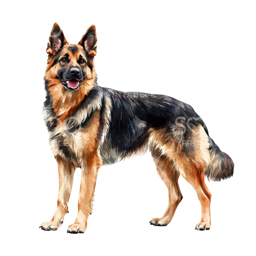 28 German Shepherd Clipart, Dog Lovers Gift, Printable Watercolor Art ...