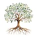 25 Tree of Life With Roots Clipart, Oak Family Tree, Printable ...