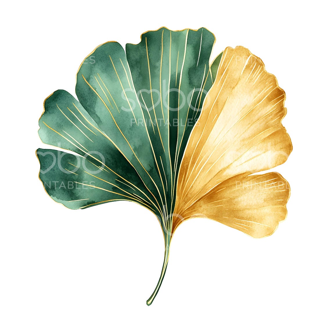 24 Gingko Leaf Clipart, Japanese Leaf, Gingko Leaf, Watercolor Clipart ...