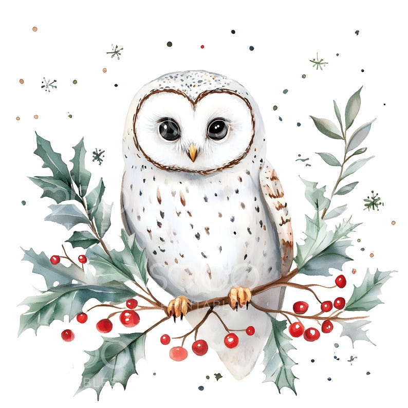 16 Winter Snow Owl Clipart, Winter Owl, Cute Owl, Barn Christmas Card ...