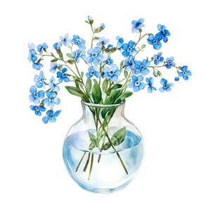 26 Forget Me Not Vase Clipart, Forget-me-not Flowers, Printable ...