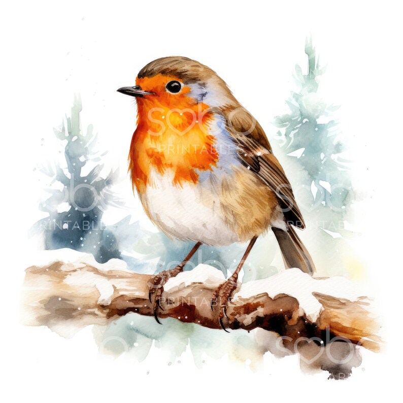 Winter Robin Clipart - 12 High Quality Jpgs, Digital Paper Crafting ...