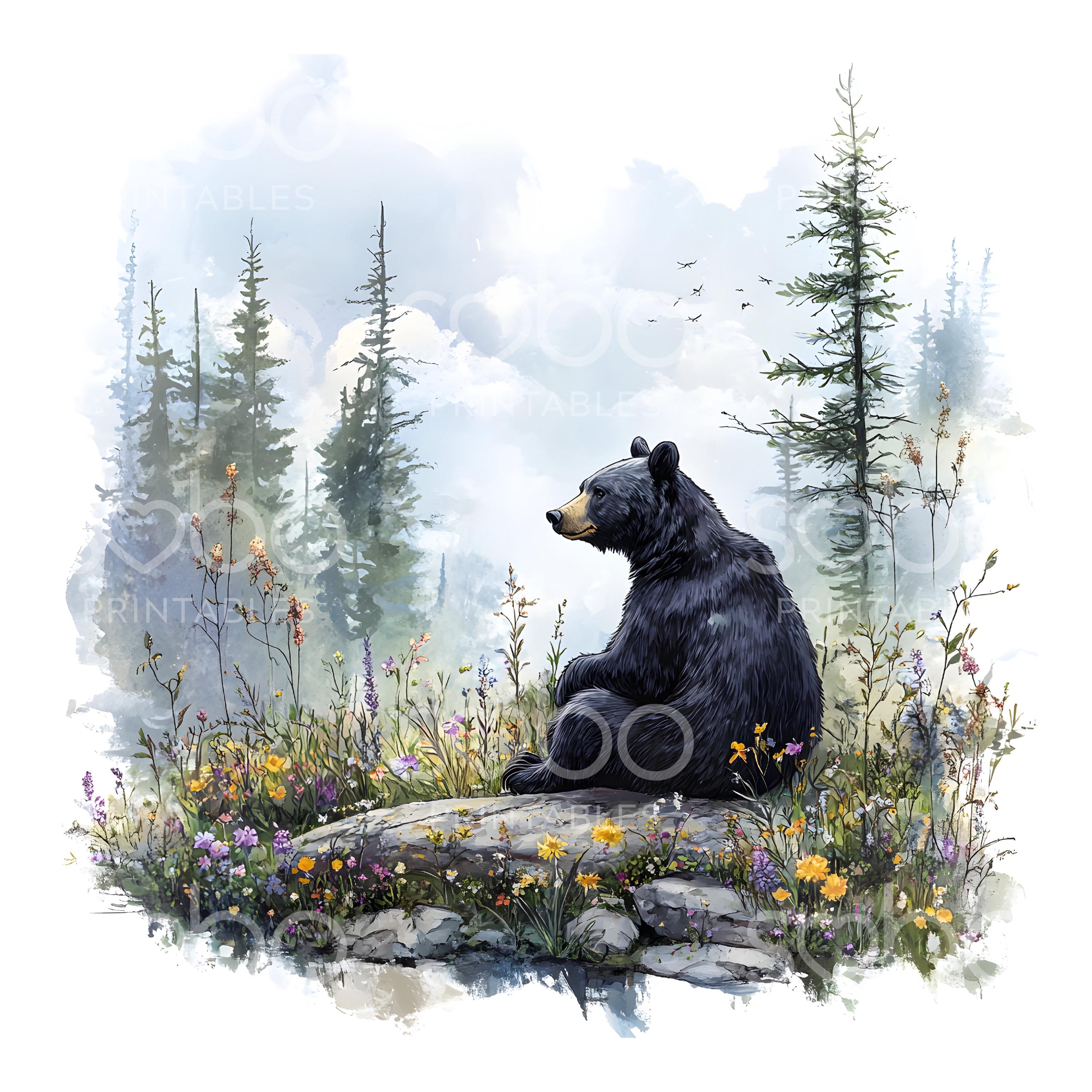 24 Black Bear Sitting Clipart, Black Bear, Mountain Forest Art ...
