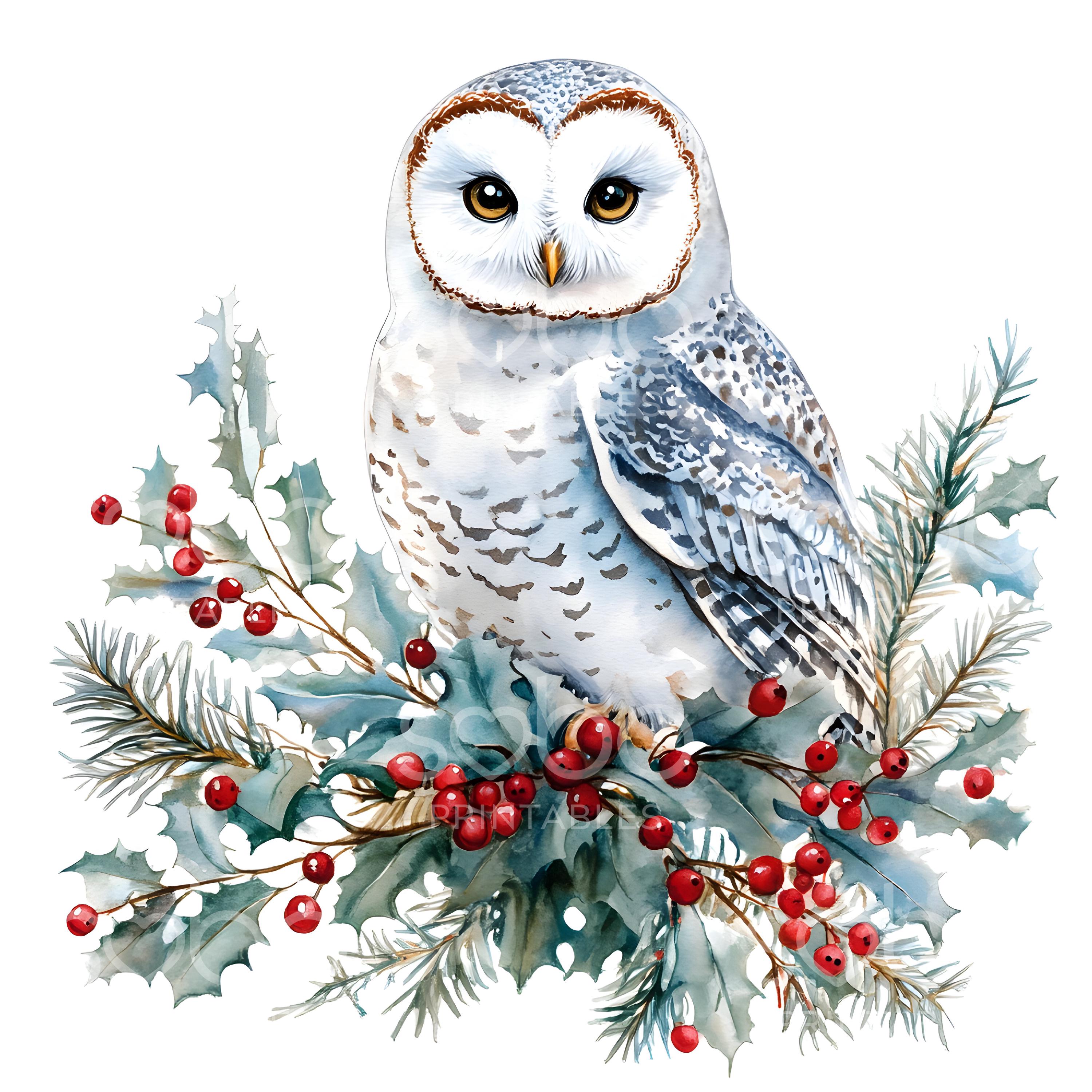 16 Winter Snow Owl Clipart, Winter Owl, Cute Owl, Barn Christmas Card ...