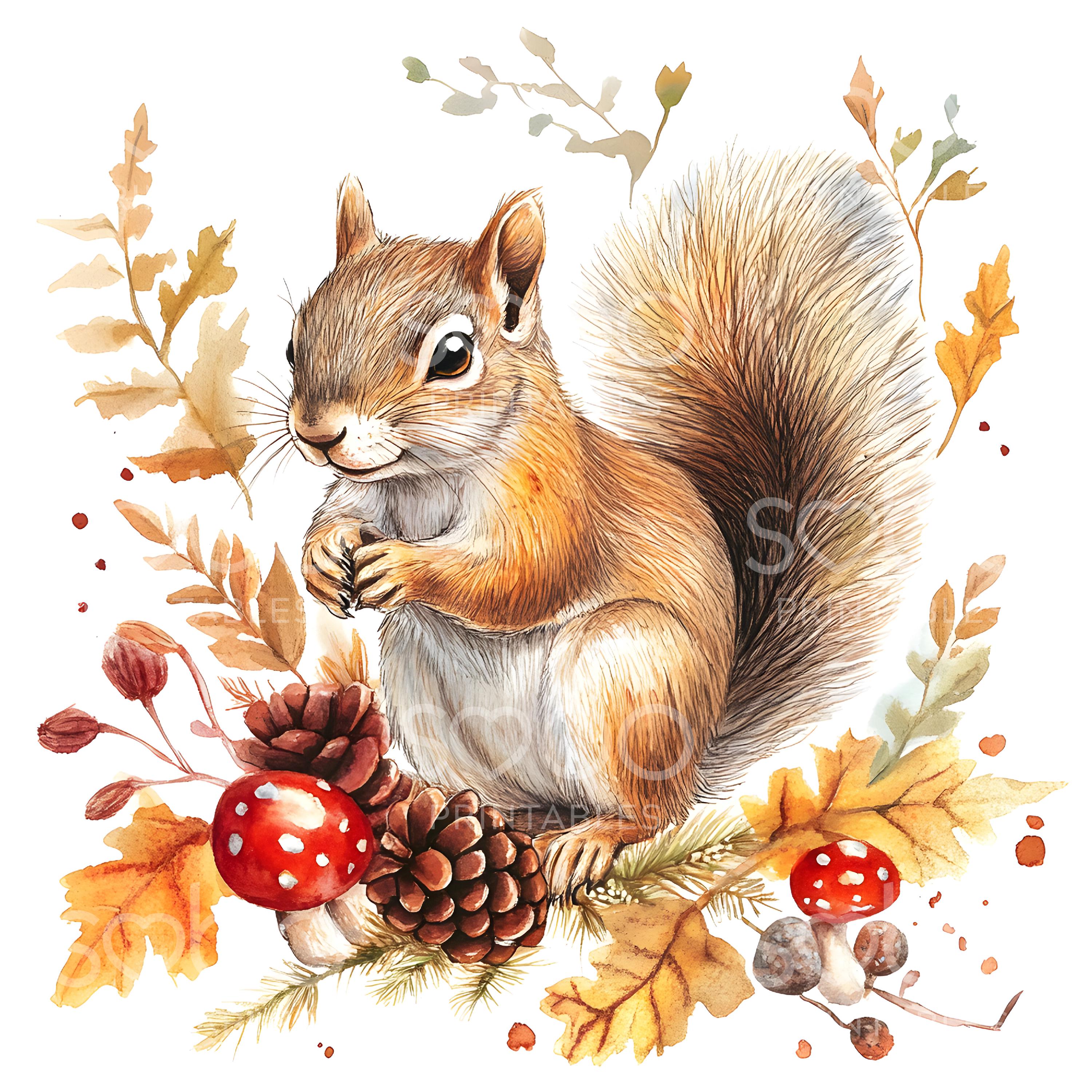 15 Autumn Squirrel Clipart, Mushrooms Bouquet Pine Cones, High Quality ...