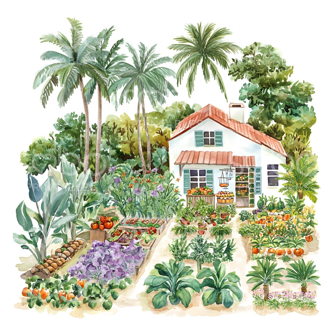 18 Vegetable Garden Clipart, Cottage Garden, High Quality Jpgs ...