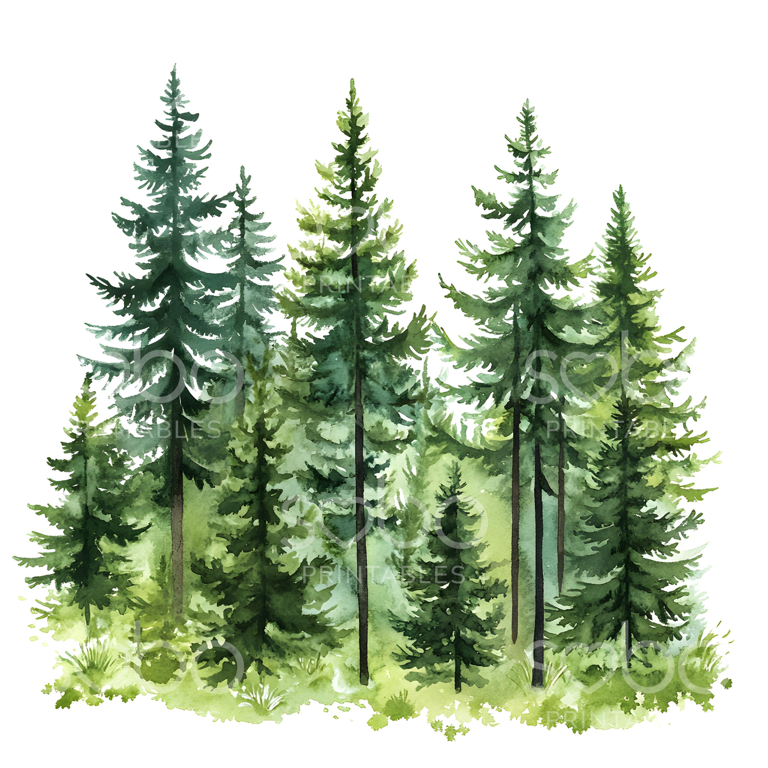 16 Pine Trees Clipart, Forest Clipart, Jungle Printable Watercolor ...