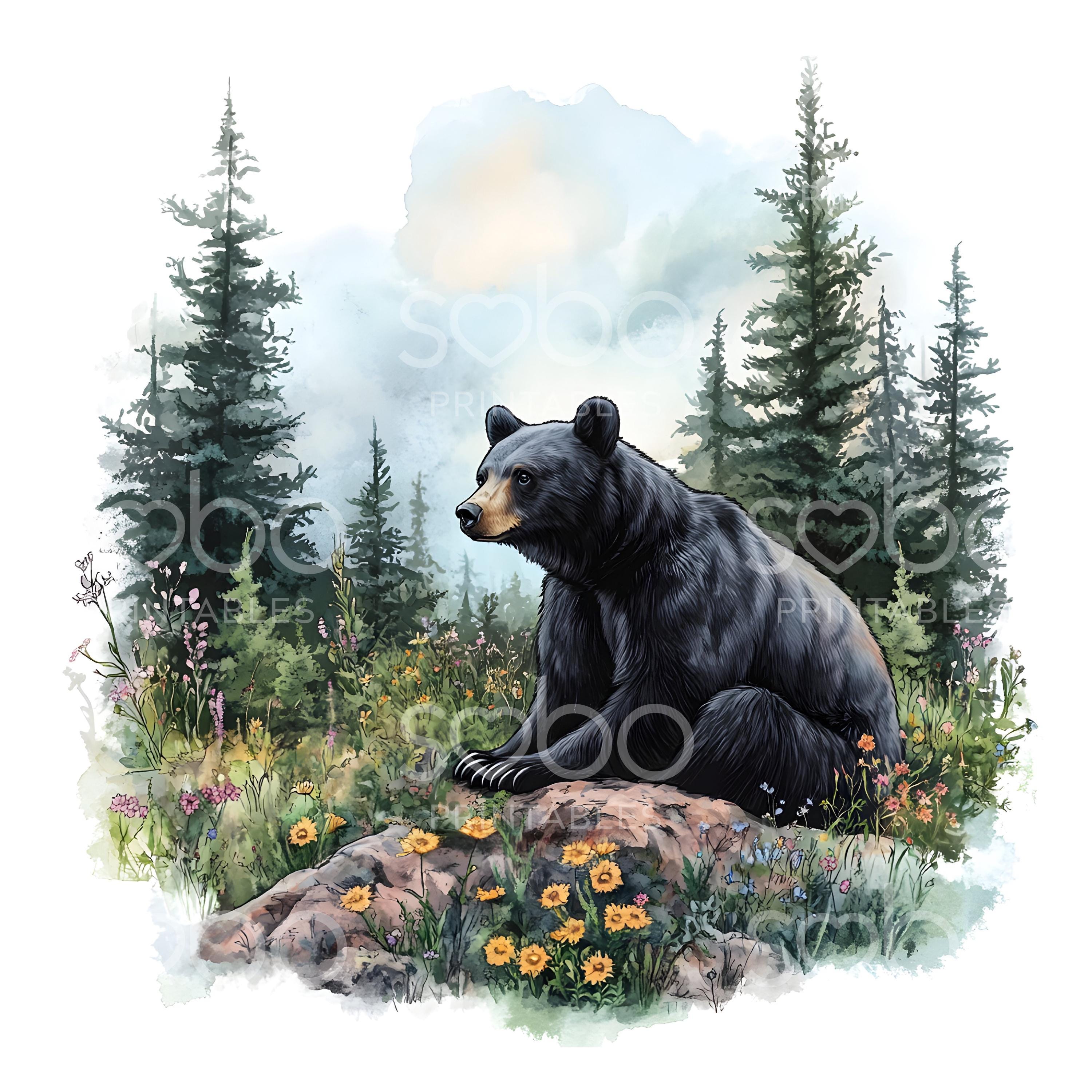 24 Black Bear Sitting Clipart, Black Bear, Mountain Forest Art ...