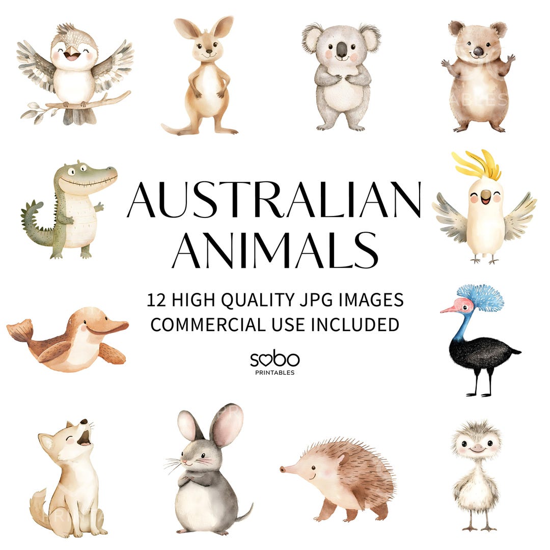 12 Australian Animals Clipart, Cute Aussie Animals, Koala, Kangaroo ...