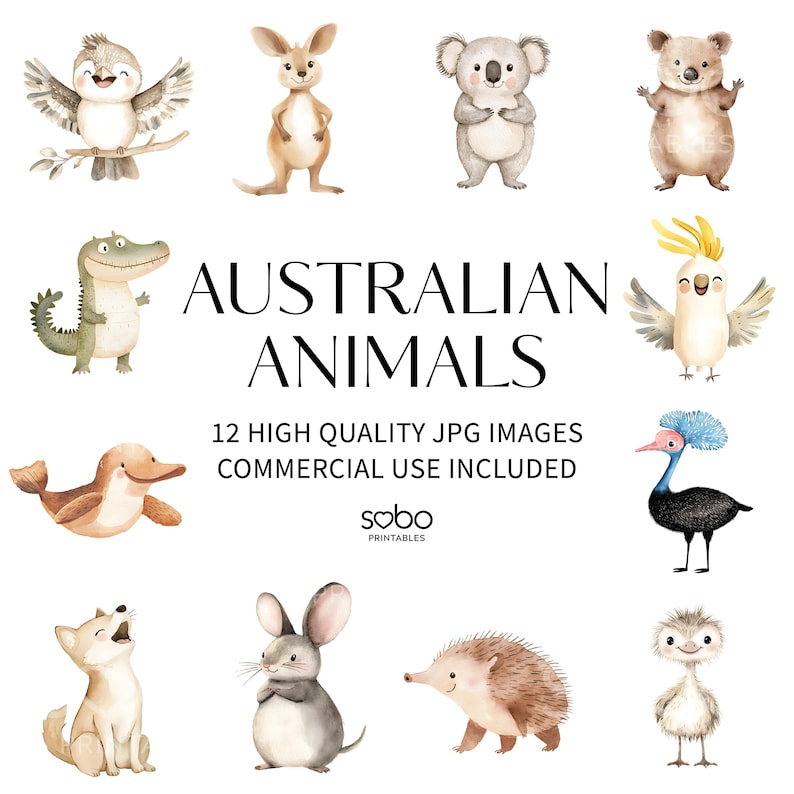 12 Australian Animals Clipart, Cute Aussie Animals, Koala, Kangaroo ...