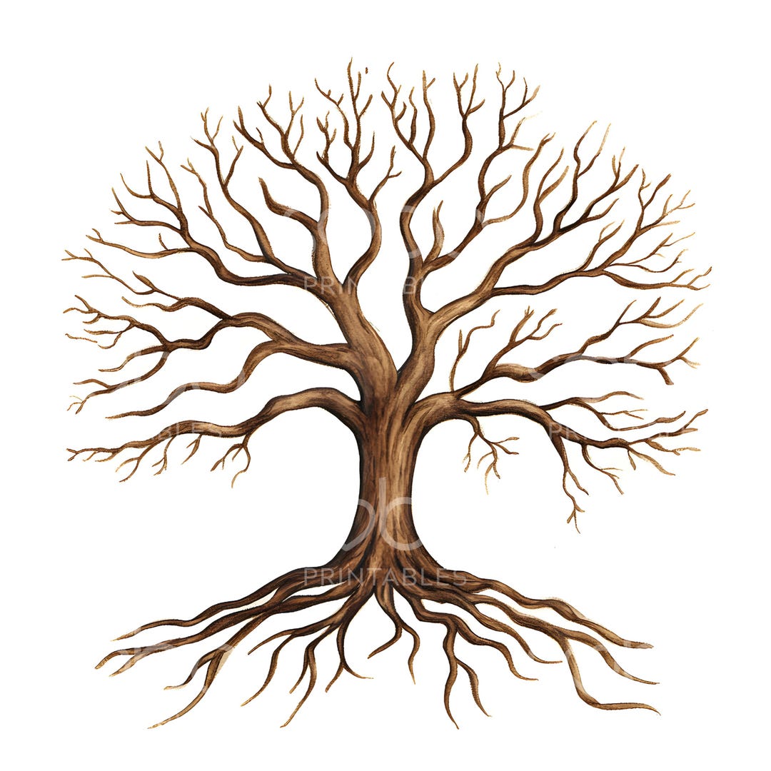 24 Oak Tree Roots Clipart, Oak Family Tree, Printable Watercolor ...