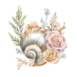 18 Floral Rose Sea Shell Clipart, Seashell Art, Printable Watercolor ...