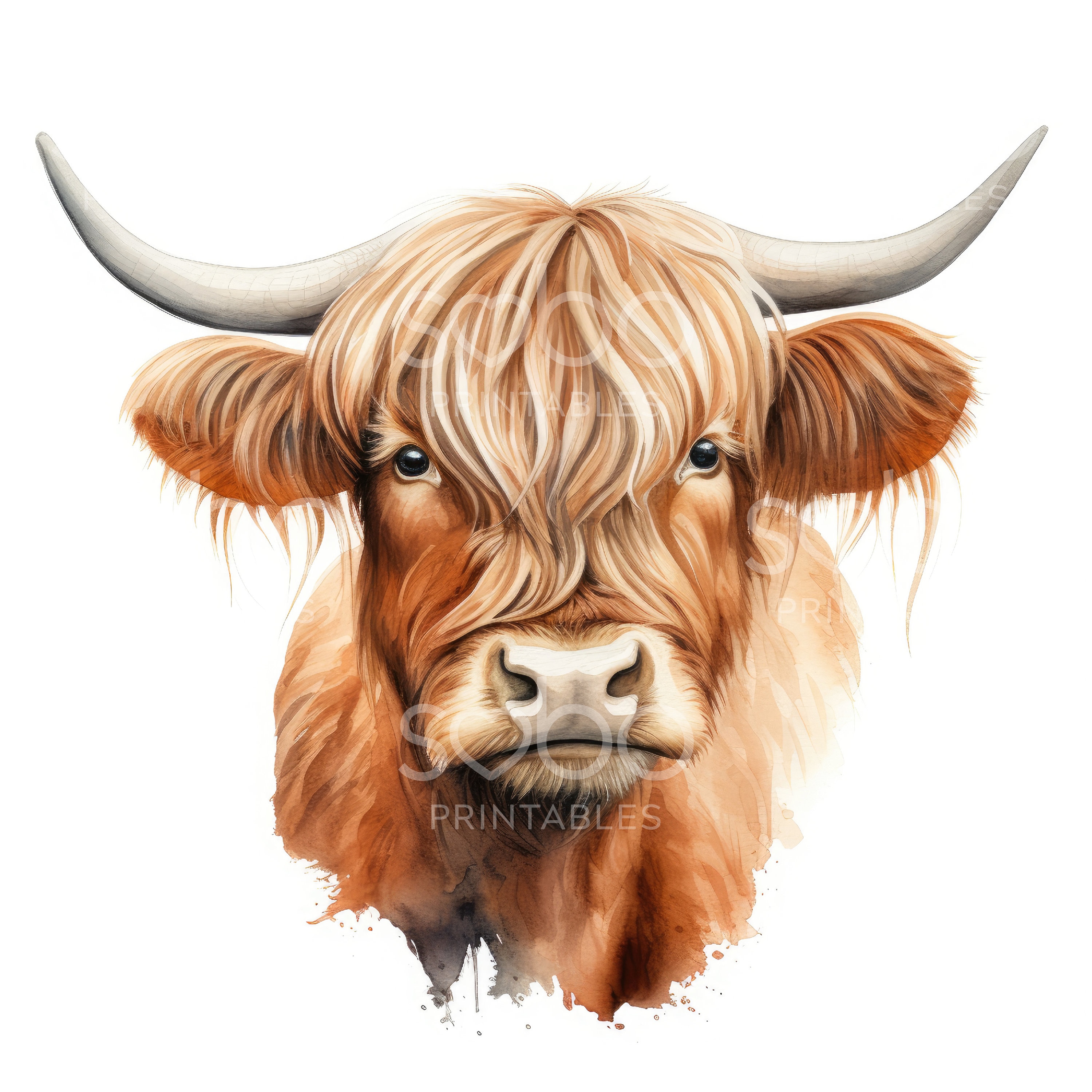 Highland Cow Clipart 15 High Quality Jpgs, Digital Download, Card ...