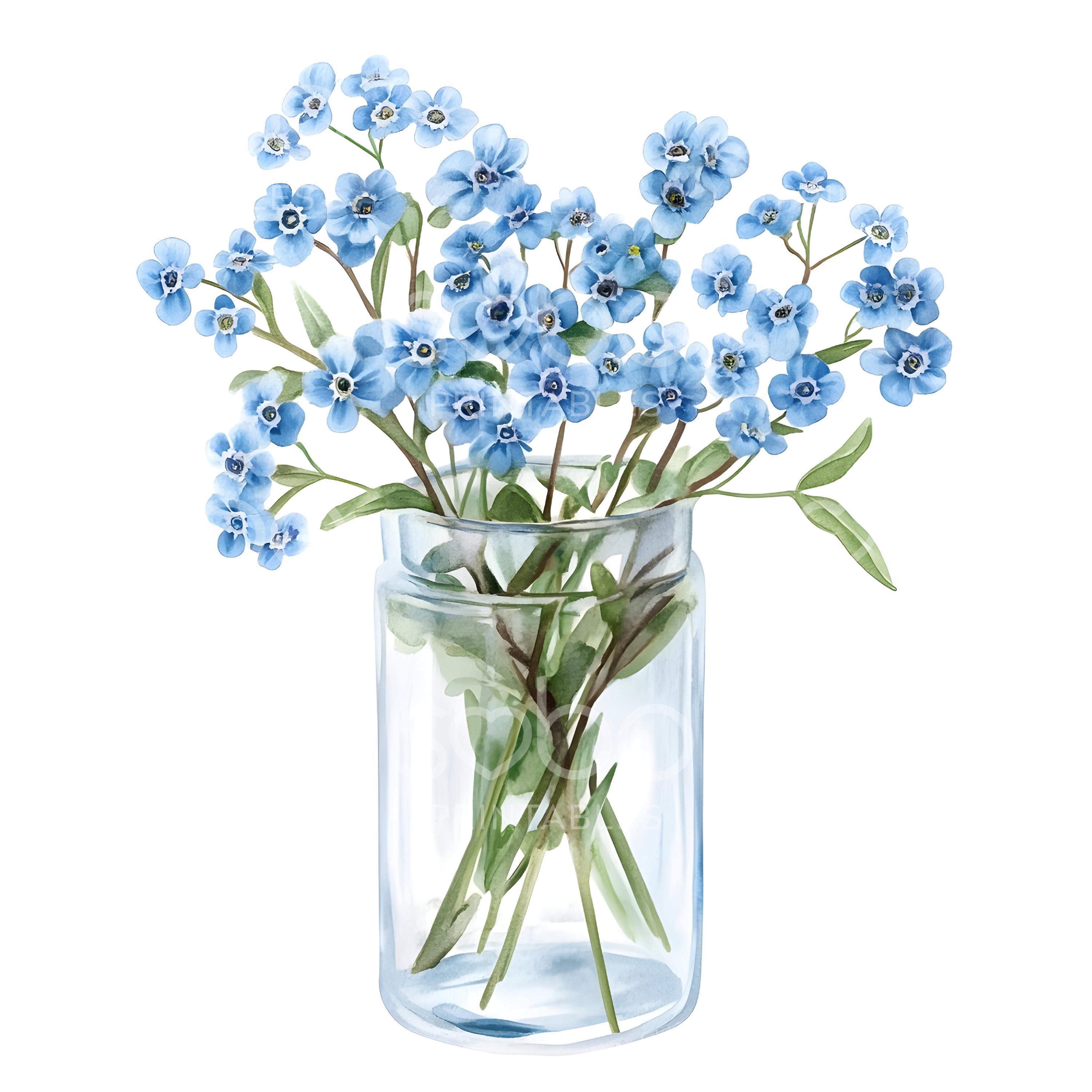 26 Forget Me Not Vase Clipart, Forget-me-not Flowers, Printable ...