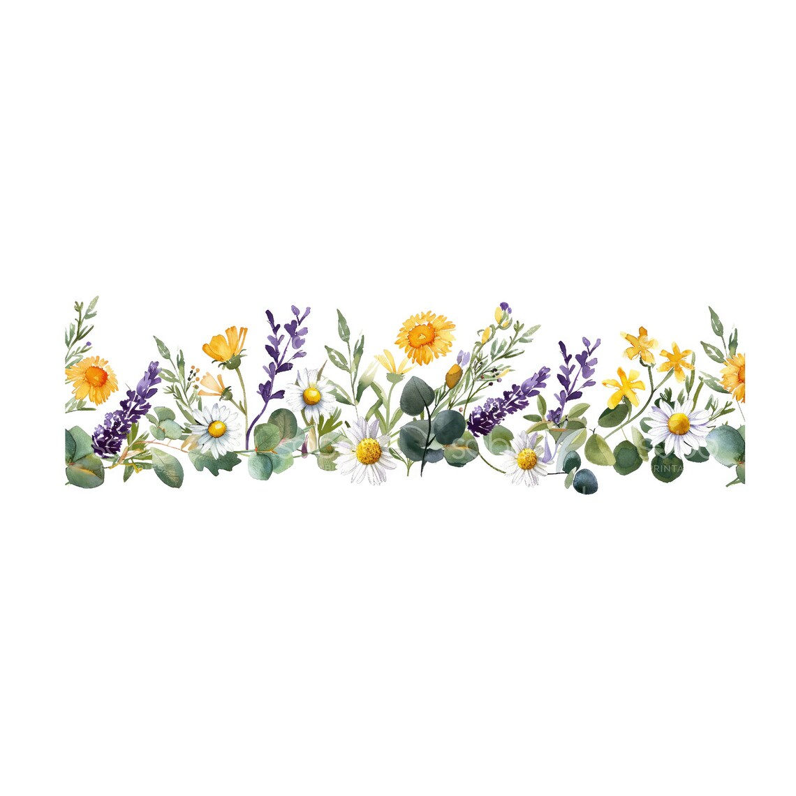 17 Summer Borders Clipart Border, Wildflowers Border Clipart, Digital ...