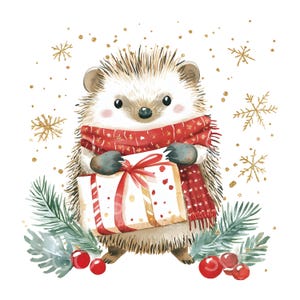 22 Christmas Hedgehog Clipart, Cute Hedgehog, Watercolour Christmas ...