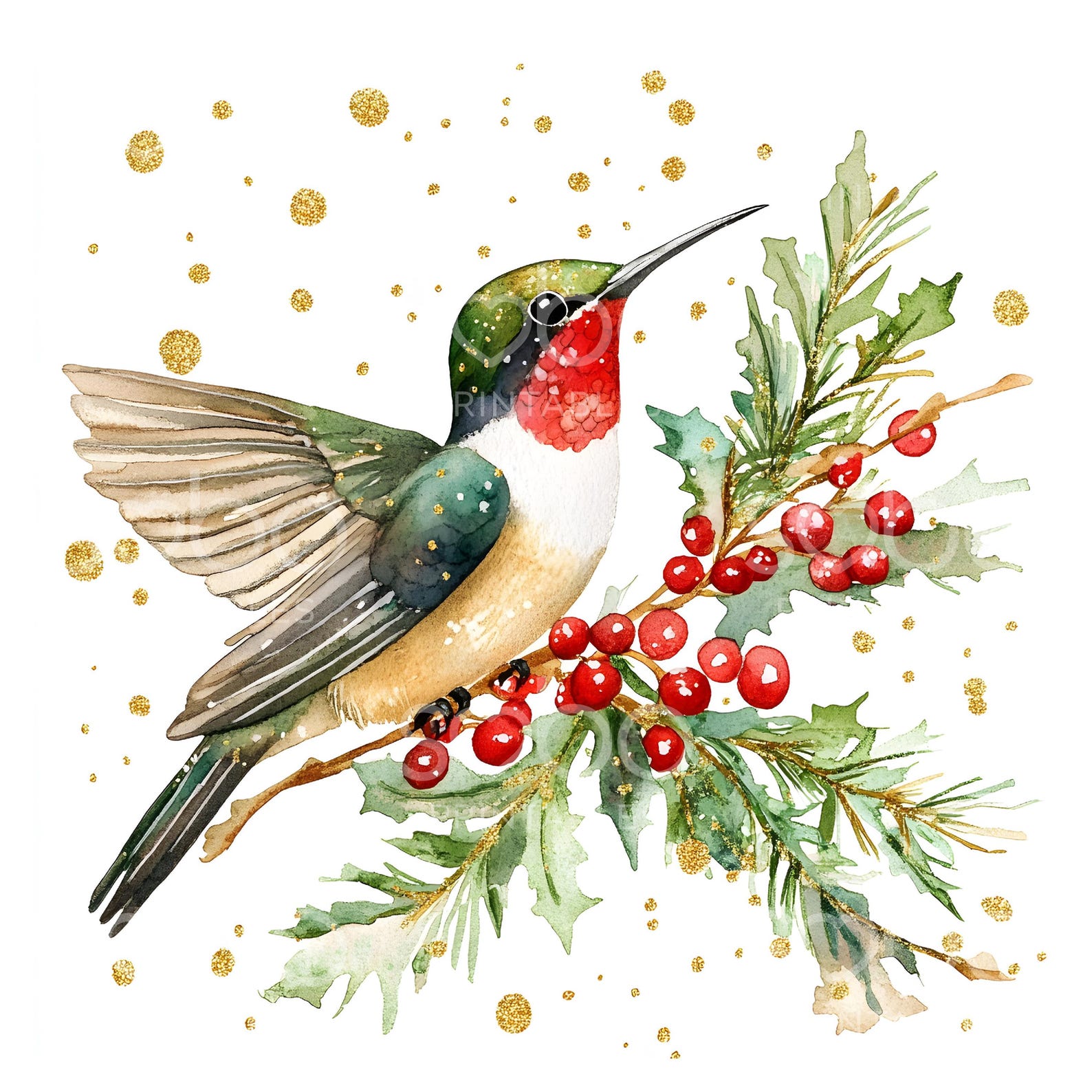 24 Christmas Colibri Bird Clipart, Hummingbird, Christmas Card Art ...