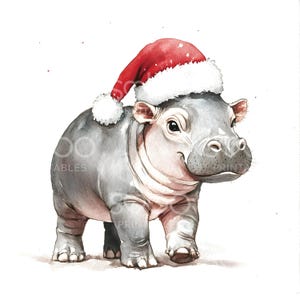 15 Pygmy Hippo Clipart, Cute Hippopotamus, Moo Deng Hippo, Bouncy Pygmy ...