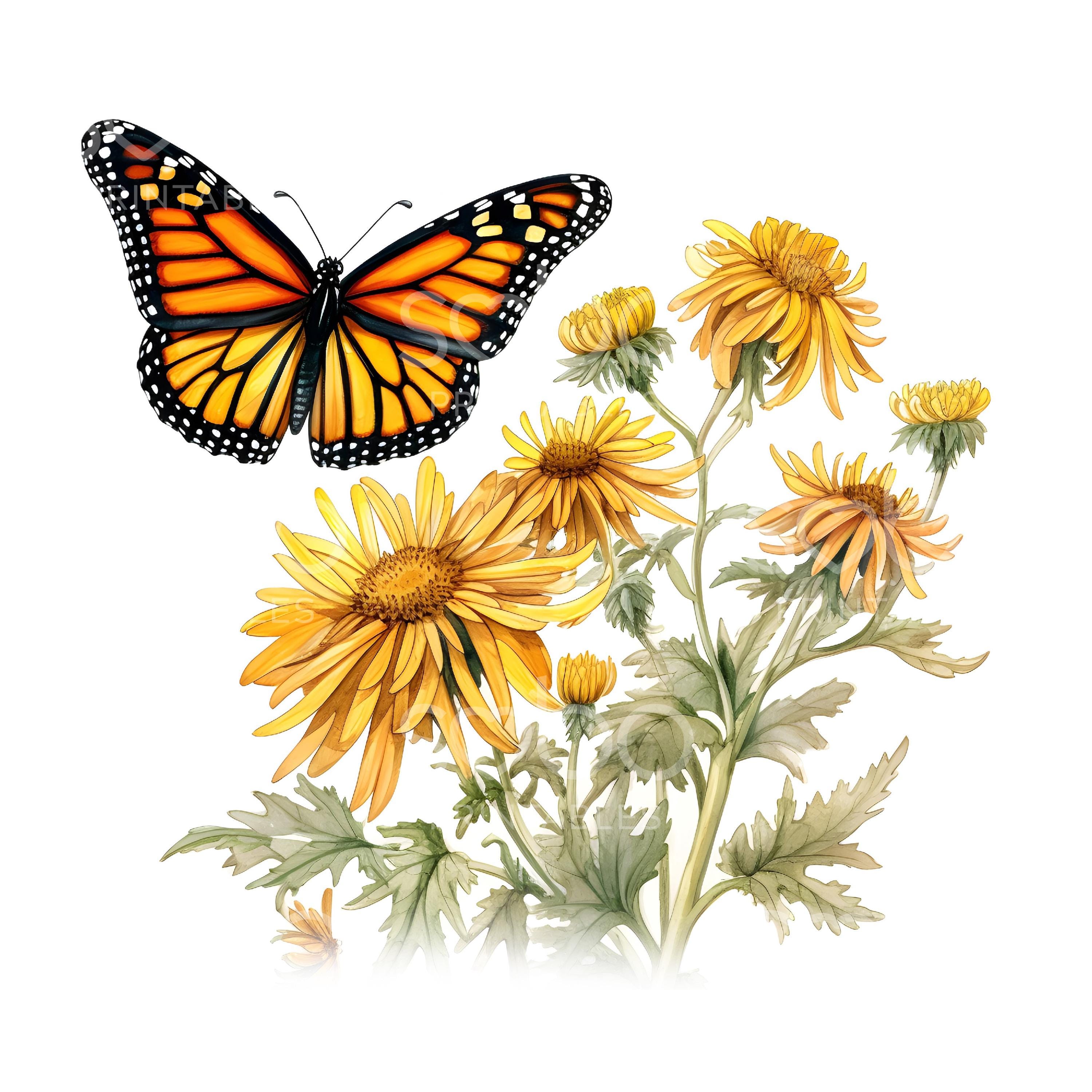 22 Monarch Butterfly Clipart, Floral Butterfly, Printable Watercolor ...