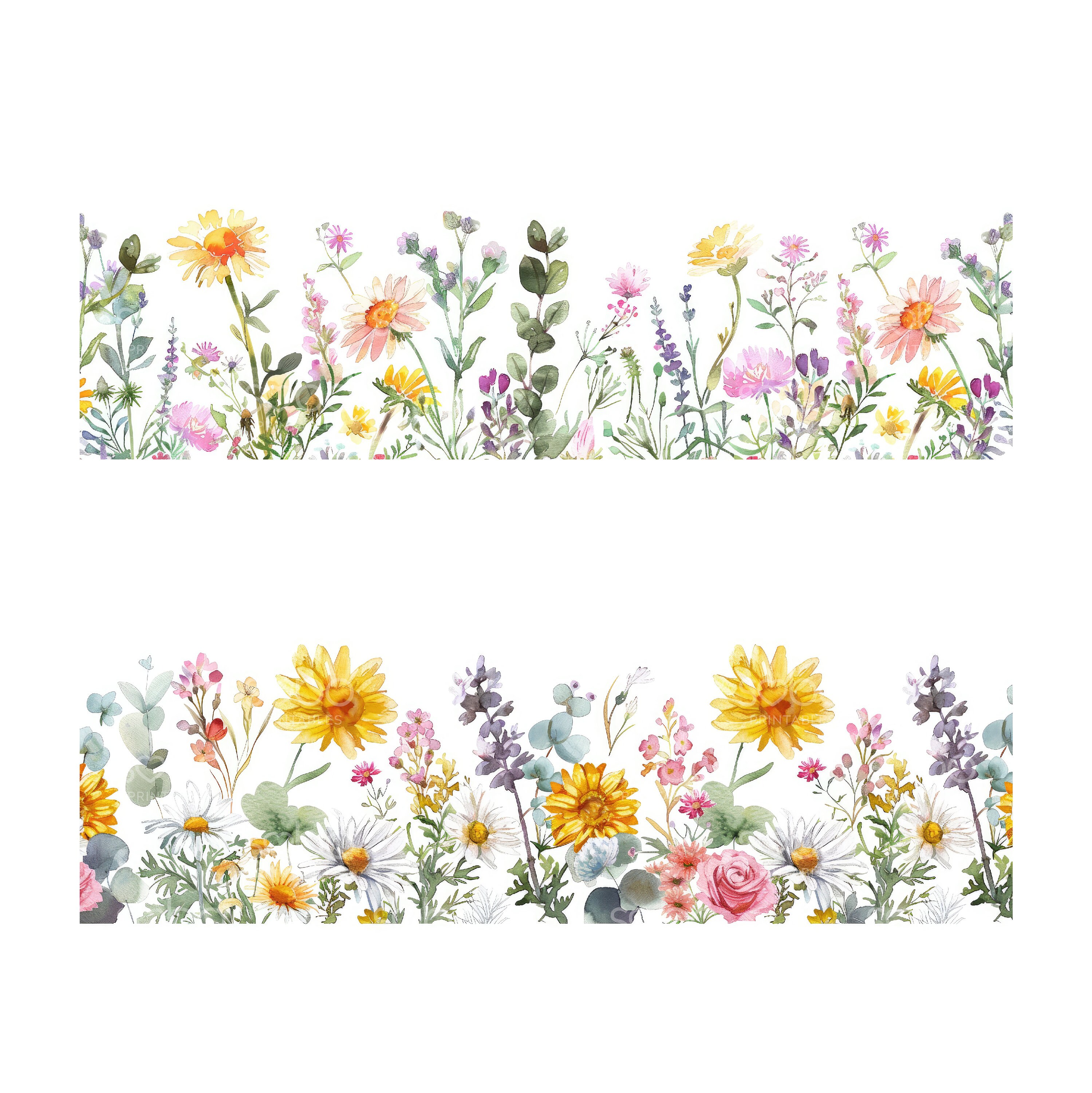 17 Summer Borders Clipart Border, Wildflowers Border Clipart, Digital ...
