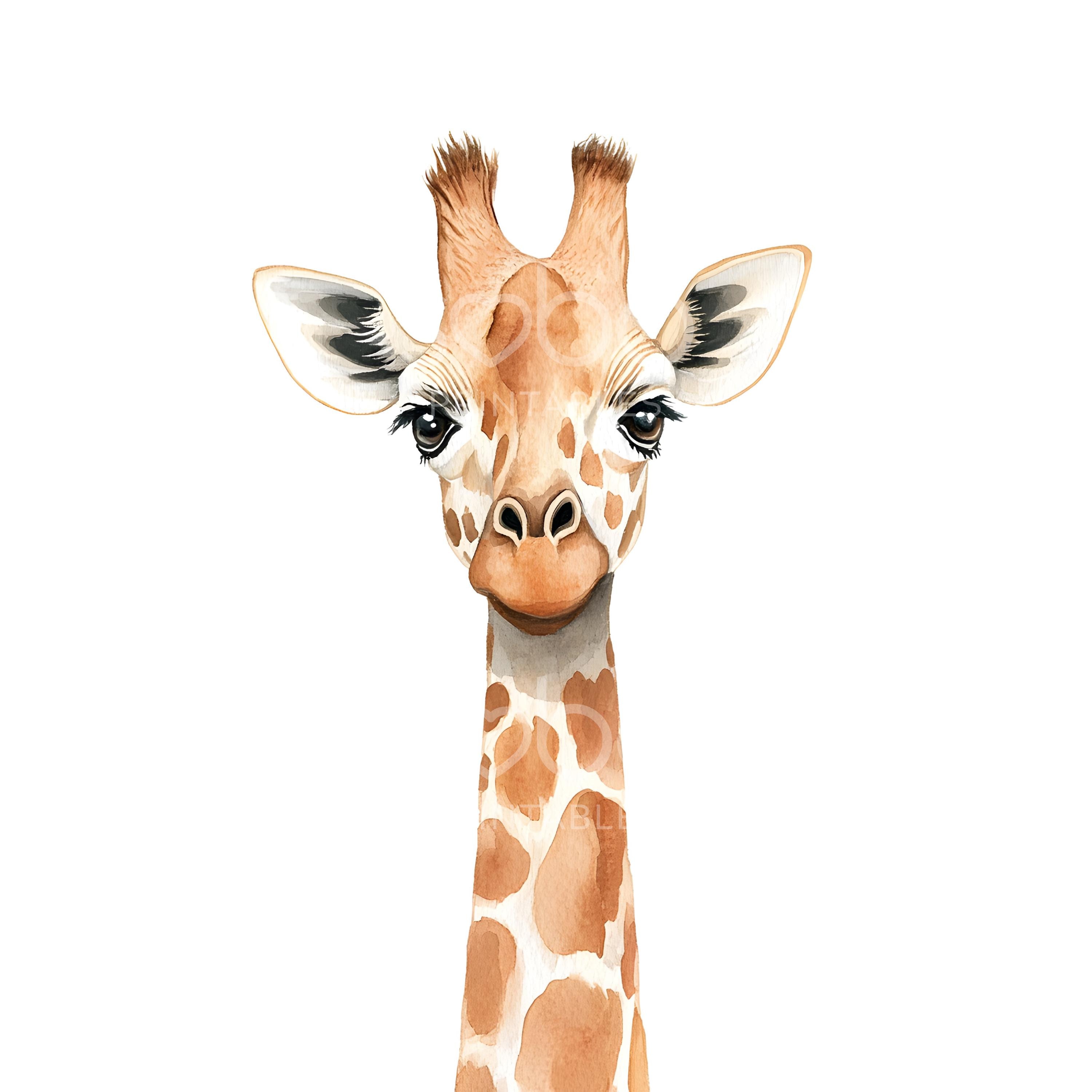 31 African Giraffes Clipart, Watercolor Giraffe, Cute Safari Animals ...