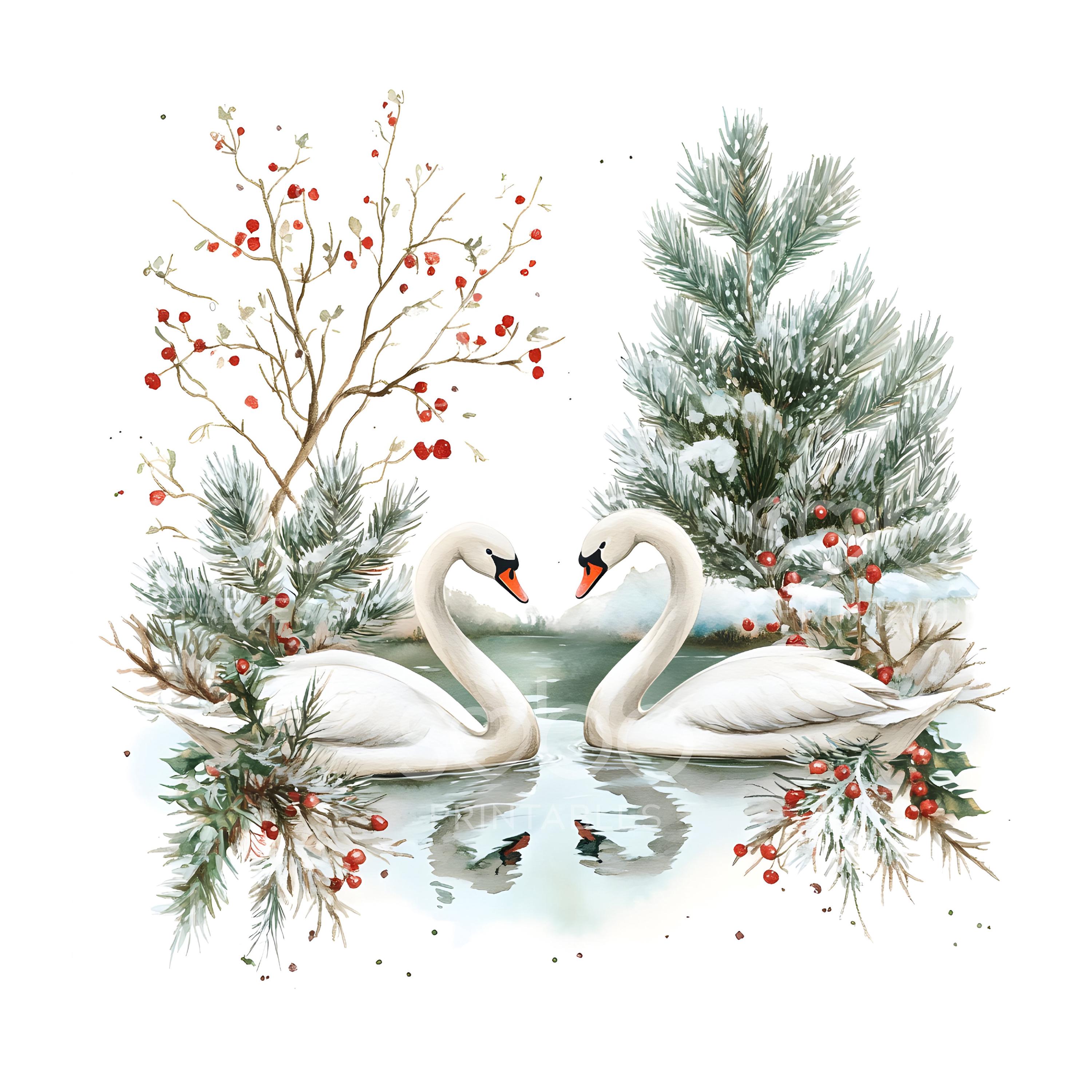 24 Xmas Lake Swans Clipart, Christmas Lake Swans, Christmas Swans ...