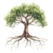 25 Tree of Life With Roots Clipart, Oak Family Tree, Printable ...