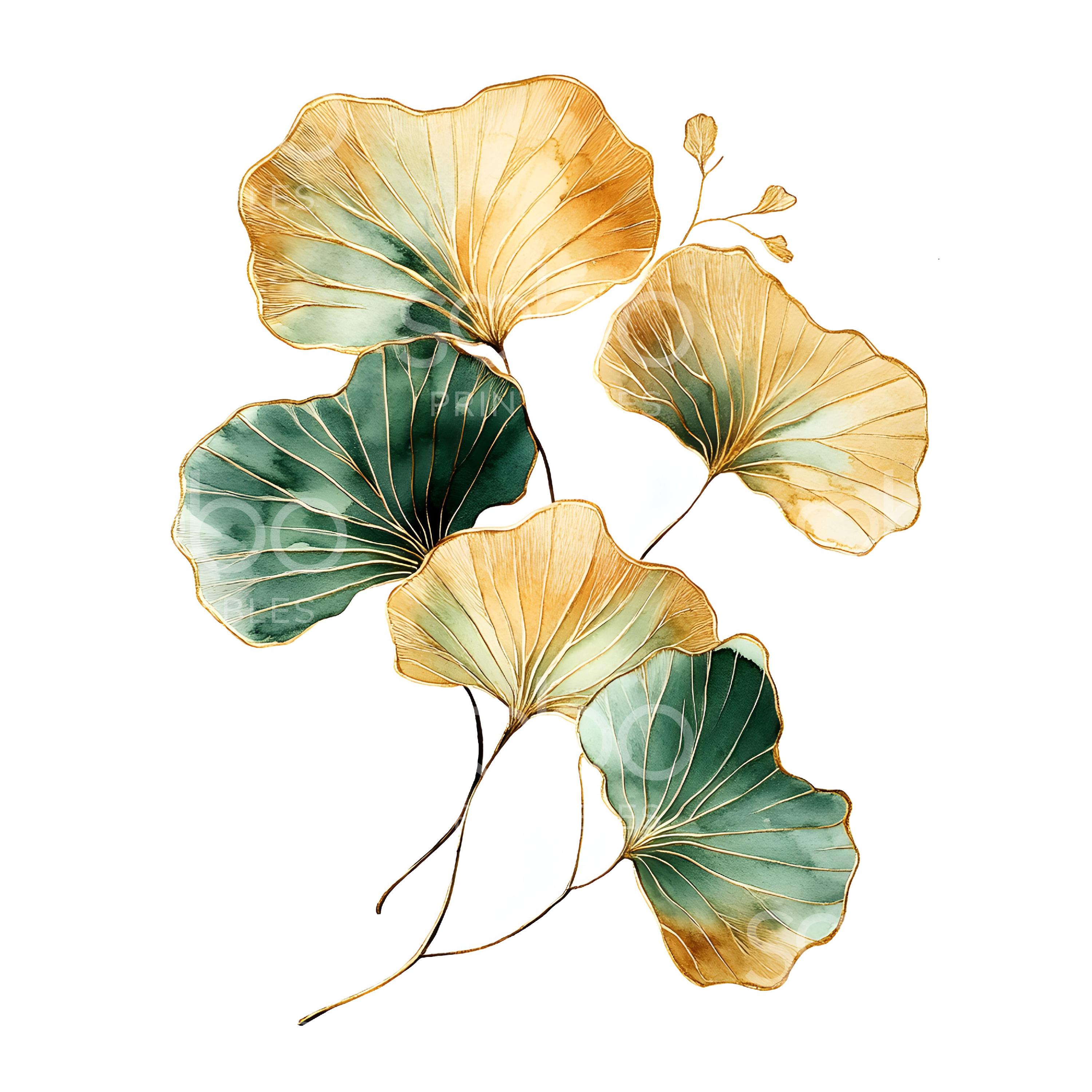 24 Gingko Leaf Clipart, Japanese Leaf, Gingko Leaf, Watercolor Clipart ...
