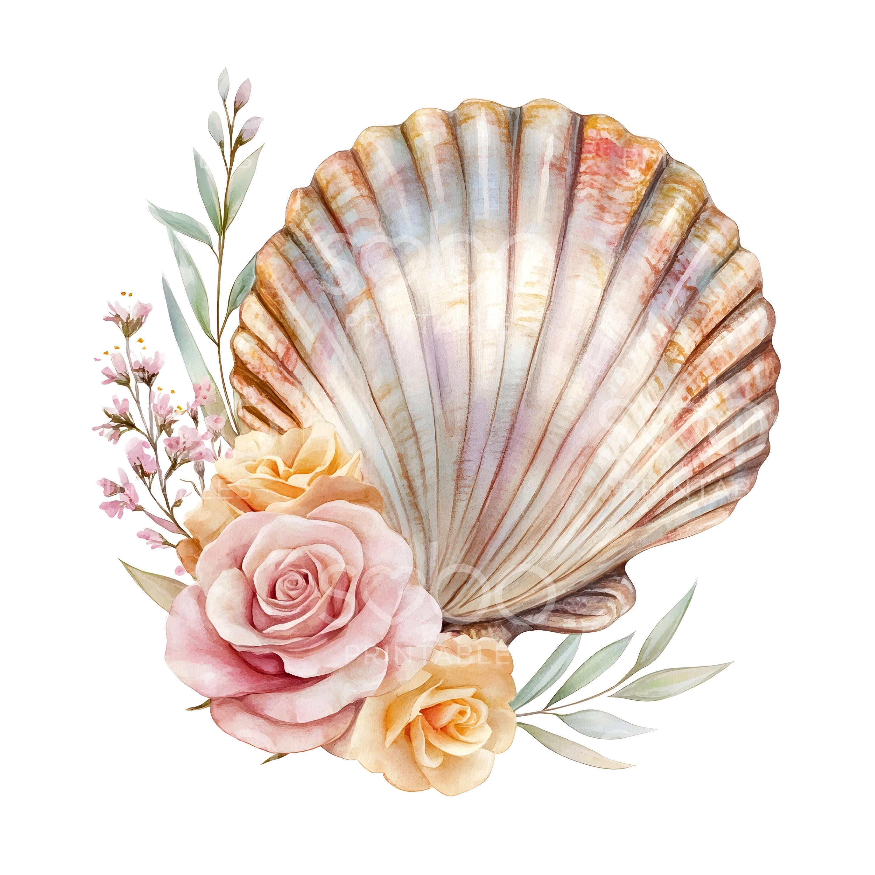 18 Floral Rose Sea Shell Clipart, Seashell Art, Printable Watercolor ...