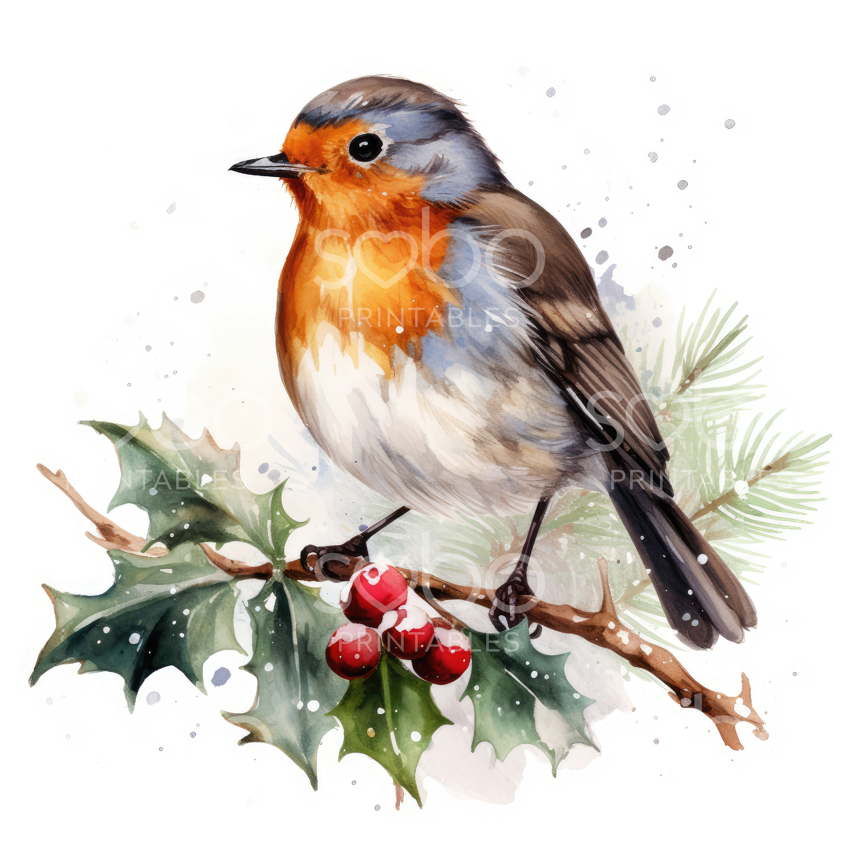 Winter Robin Clipart - 12 High Quality Jpgs, Digital Paper Crafting ...