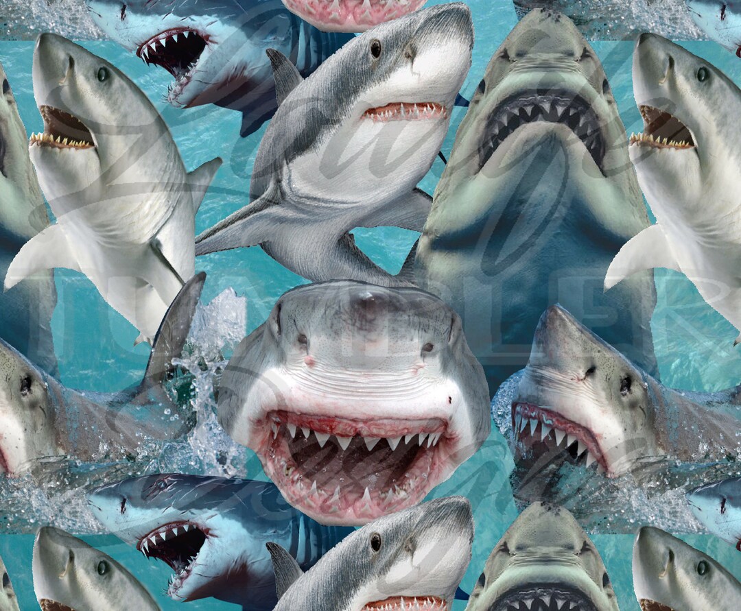 Shark Seamless Pattern, Sharks, Shark Clipart, Shark, Summer, Shark ...