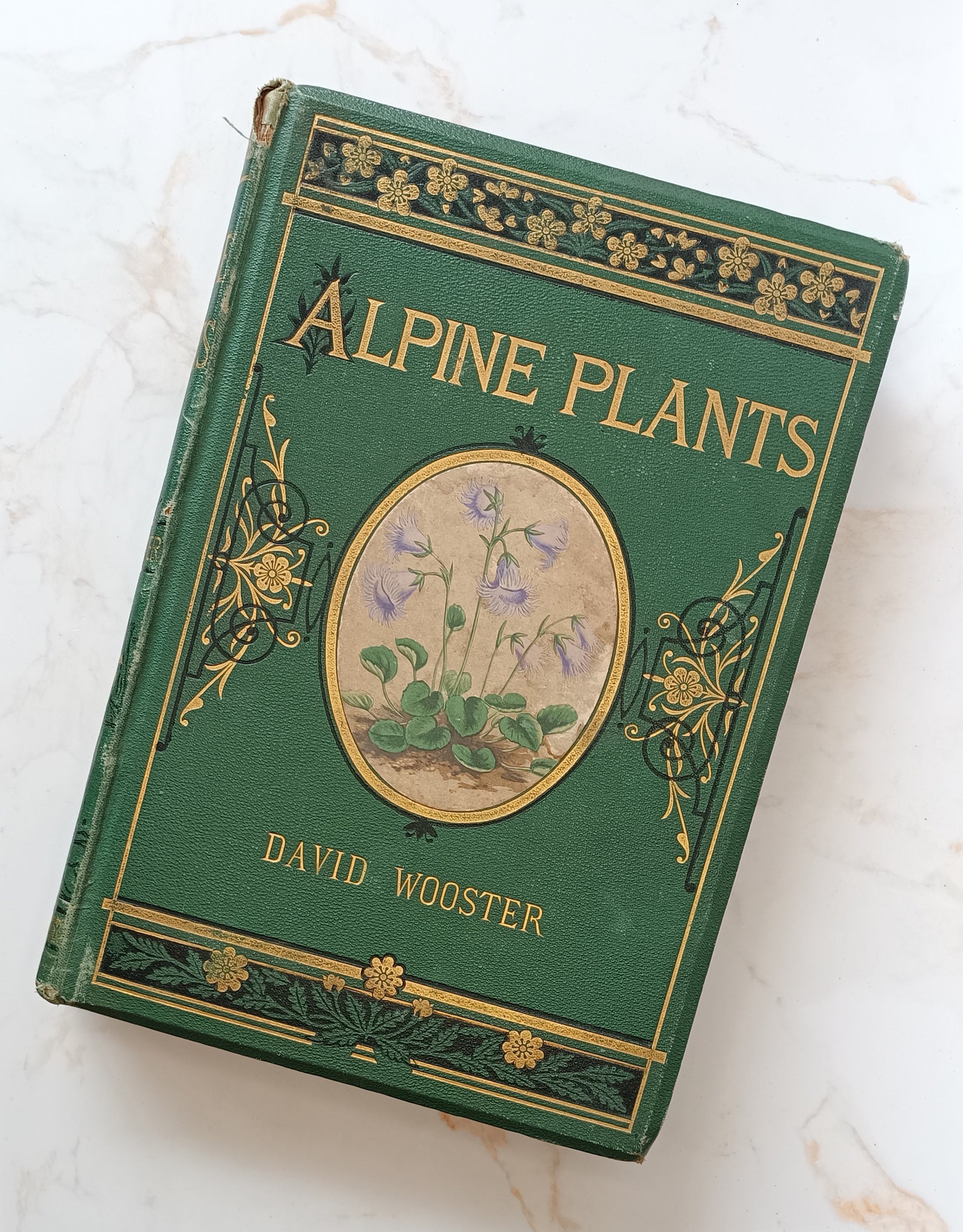 Alpine Plants, David Wooster, 1872 | Antique Book of Flowers - Etsy
