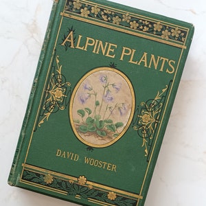 Alpine Plants, David Wooster, 1872 | Antique Book of Flowers - Etsy