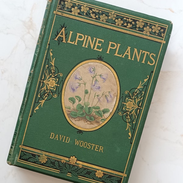 Alpine Plants - Etsy