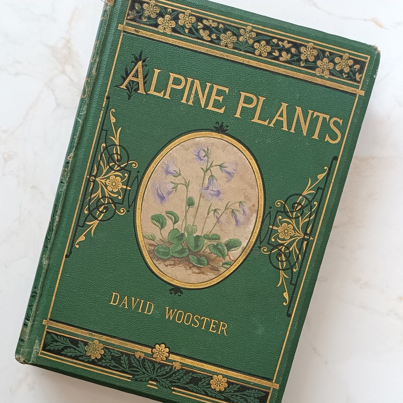 Alpine Plants - Etsy