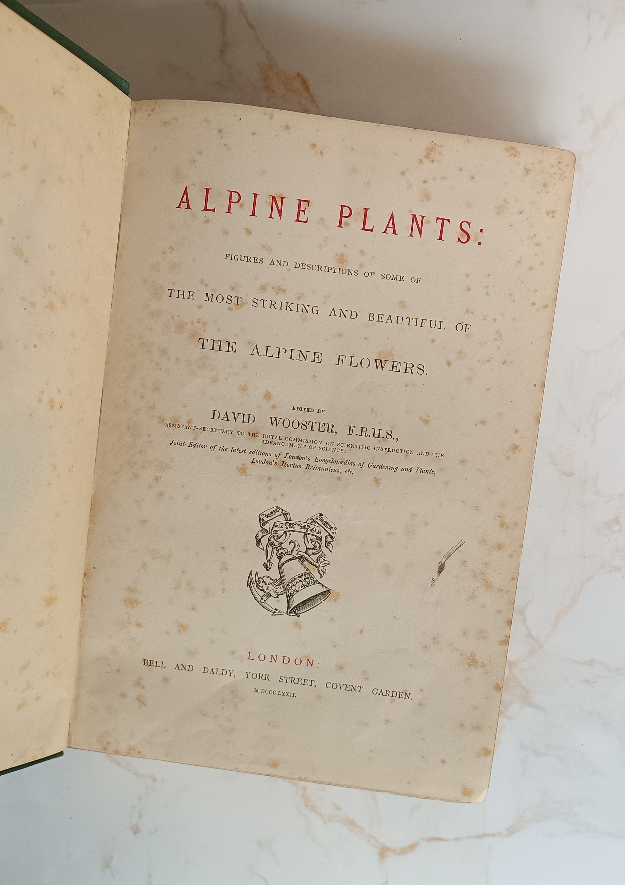 Alpine Plants, David Wooster, 1872 | Antique Book of Flowers - Etsy