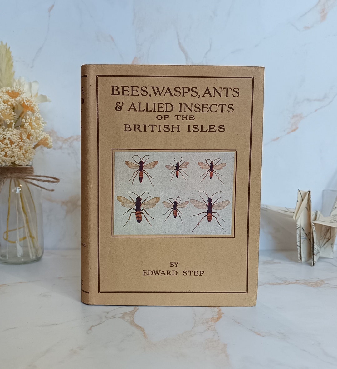 Bees, Wasps, Ants & Allied Insects of the British Isles, Edward Step ...