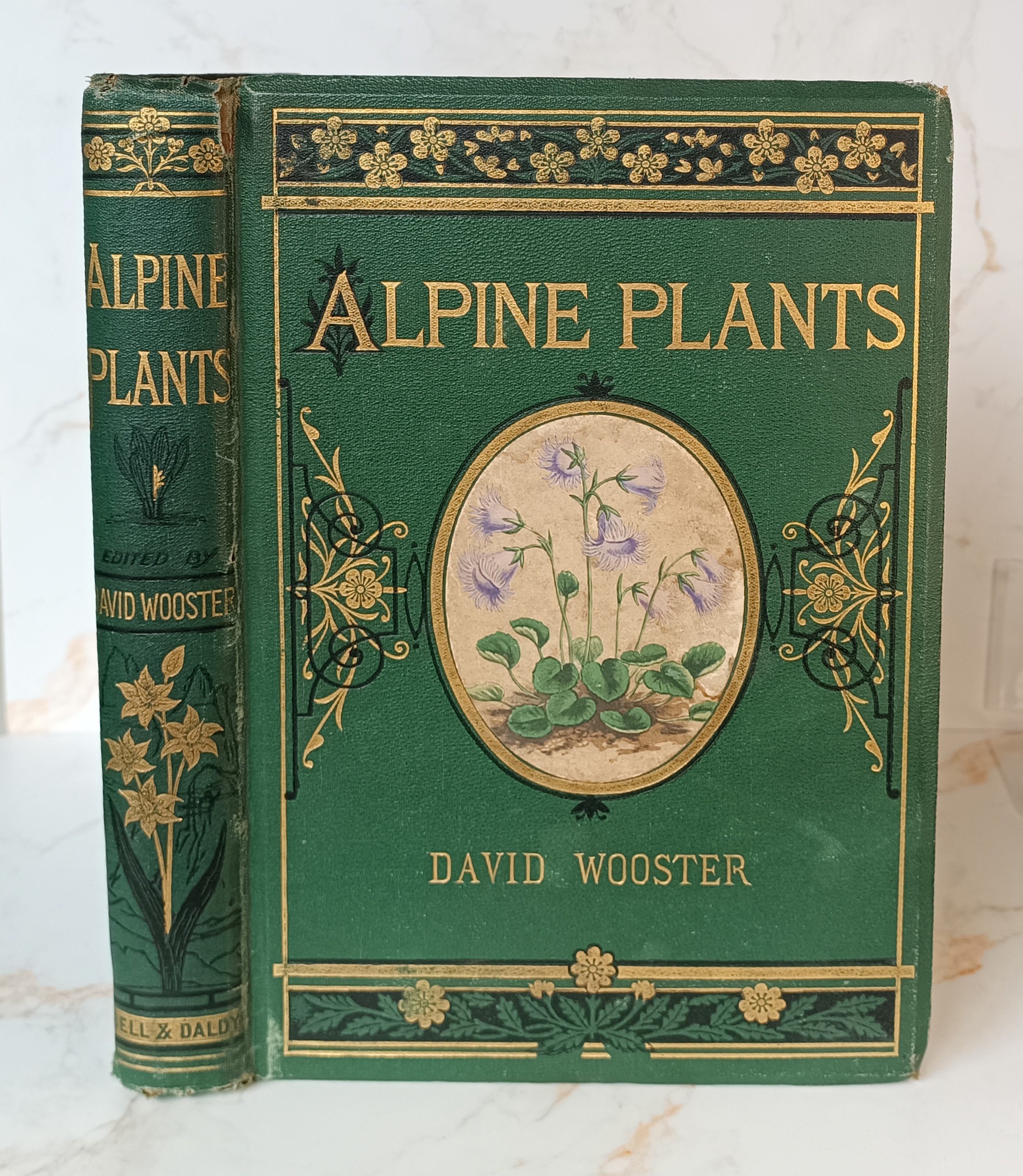 Alpine Plants, David Wooster, 1872 | Antique Book of Flowers - Etsy