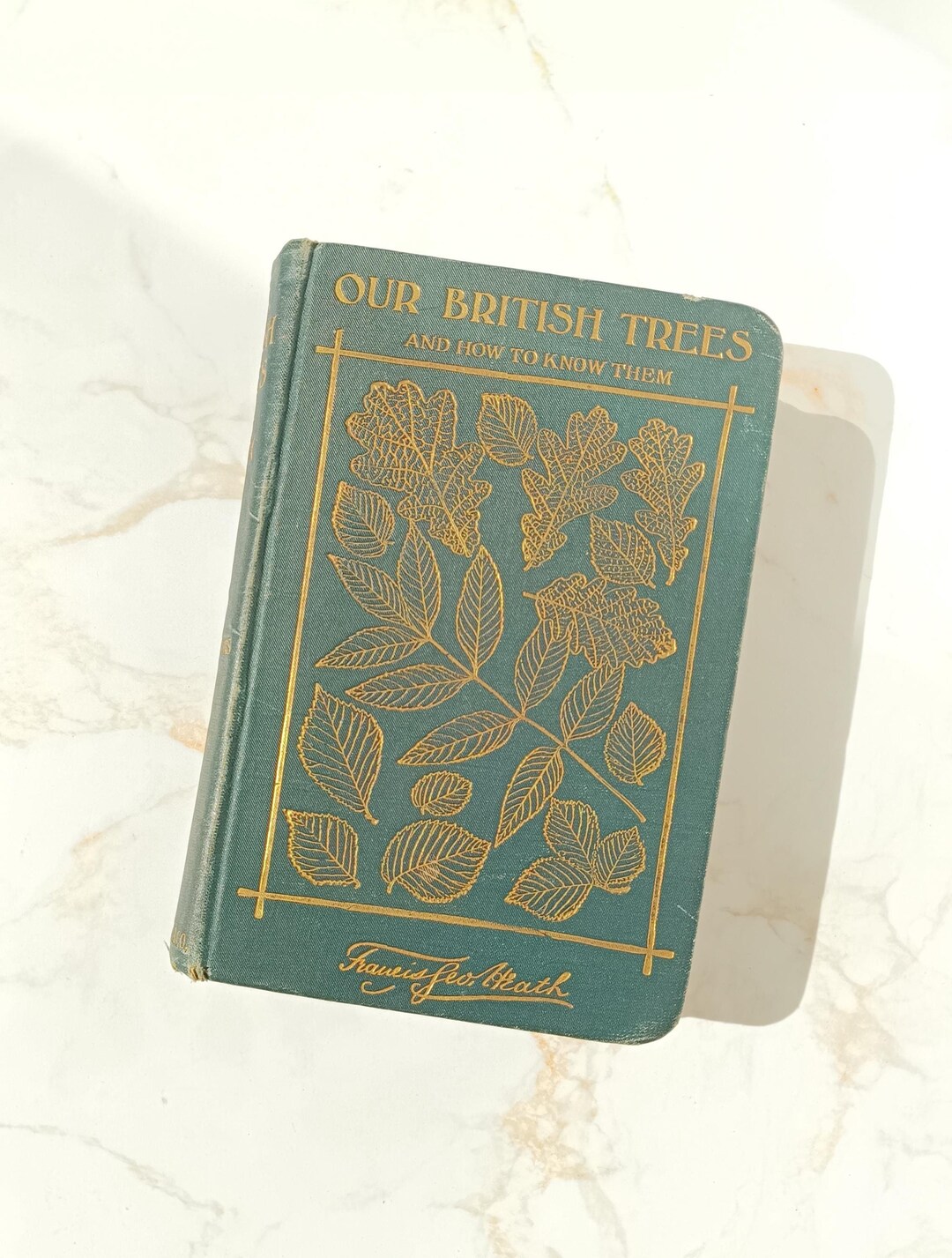 Our British Trees and How to Know Them by Francis George Heath, C.1907 ...
