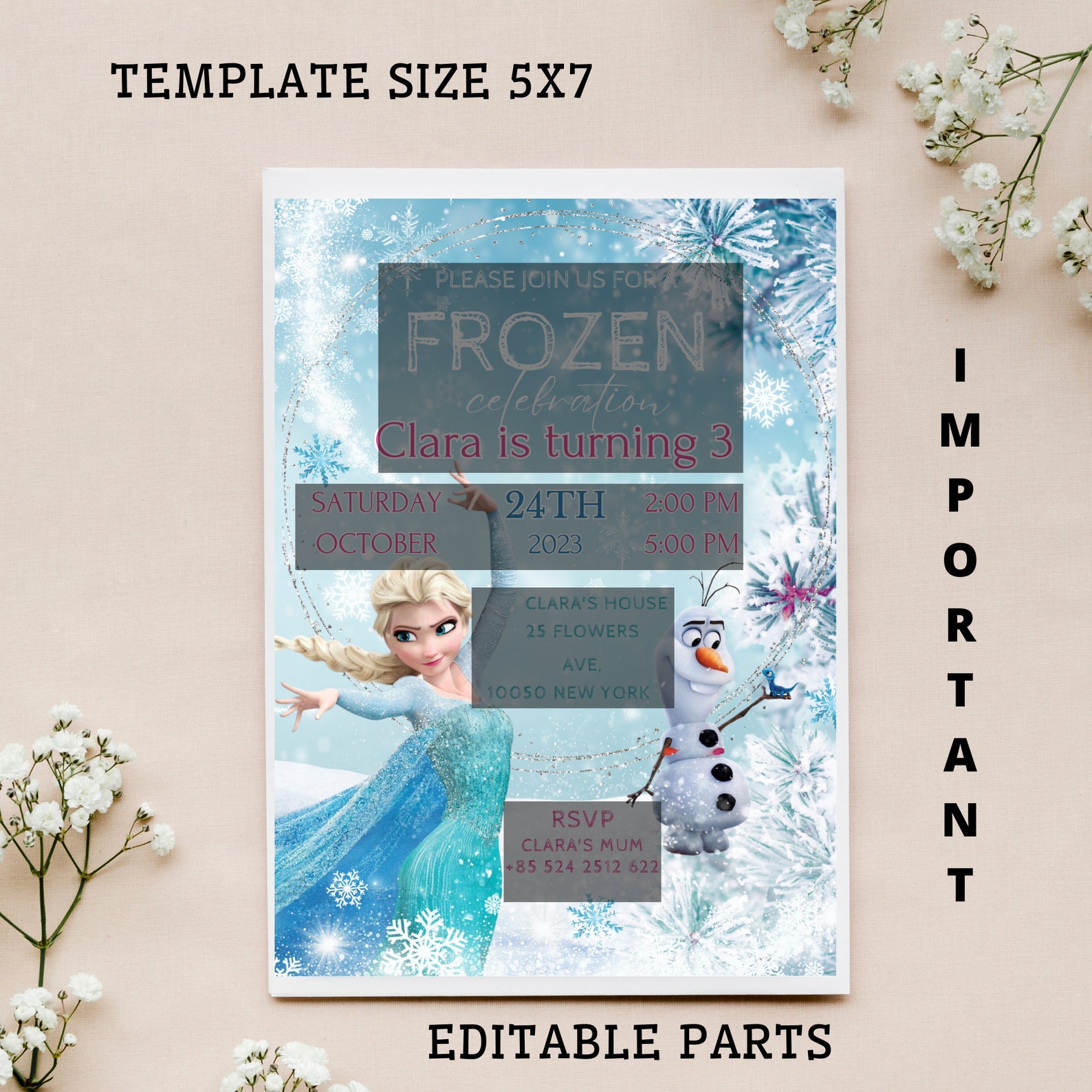 FROZEN Invitation Elsa Birthday Invitation Winter Snow Birthday ...