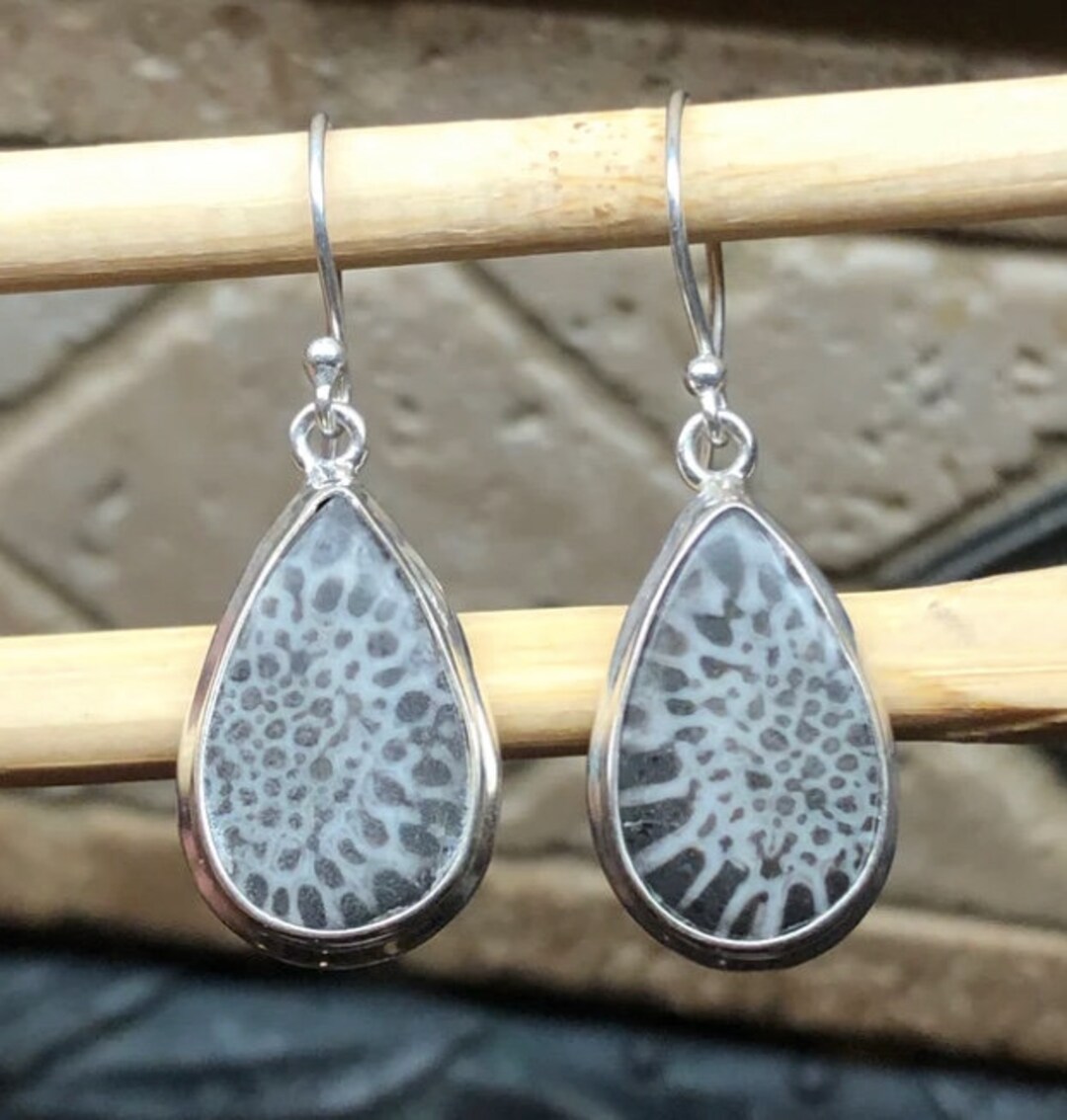 Fossil Coral Earrings for Women Sterling Silver Black Fossil Coral ...